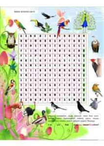 Birds Names Vocabulary, Worksheets And Crosswords • EnglEzz